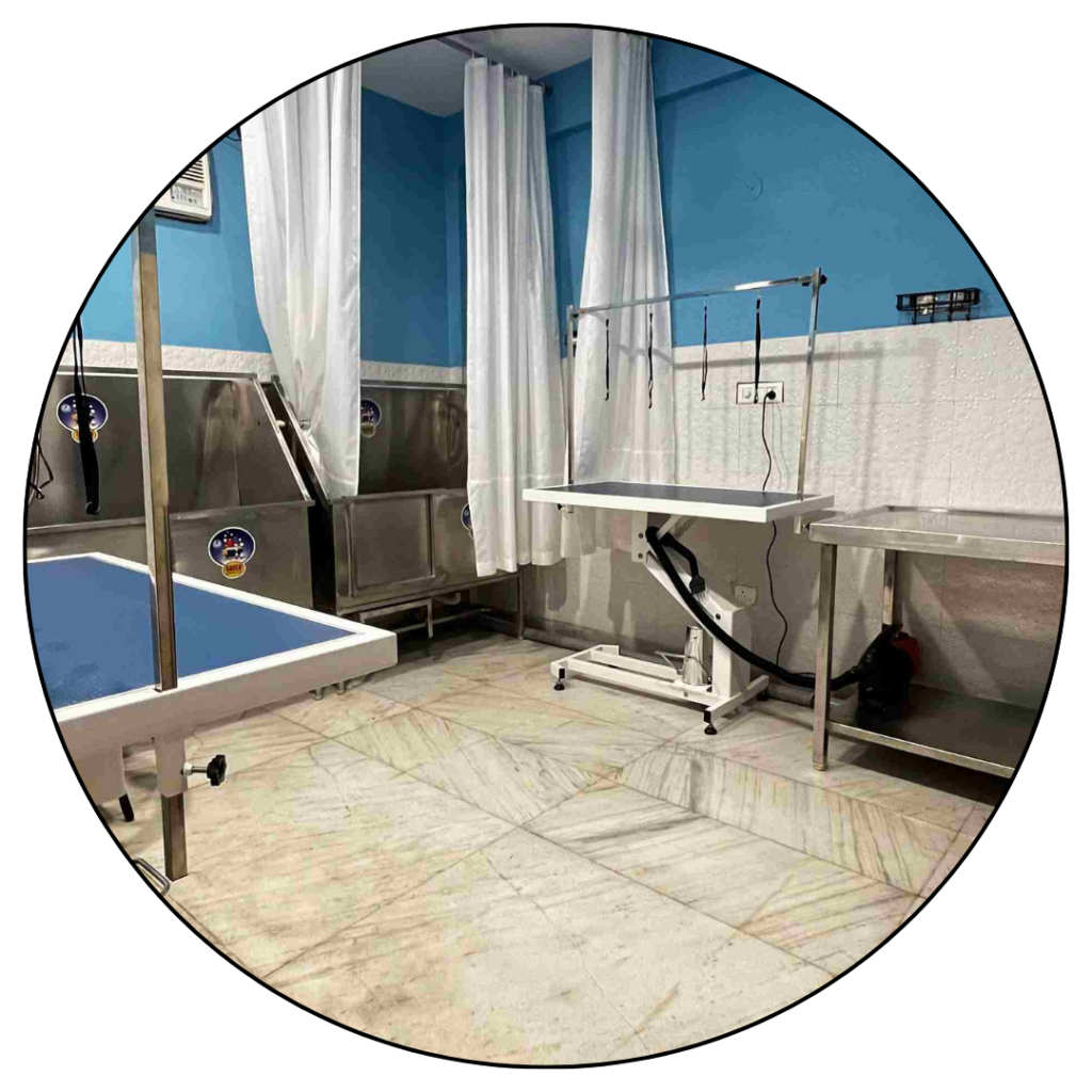 About Us - Tails & Coffee