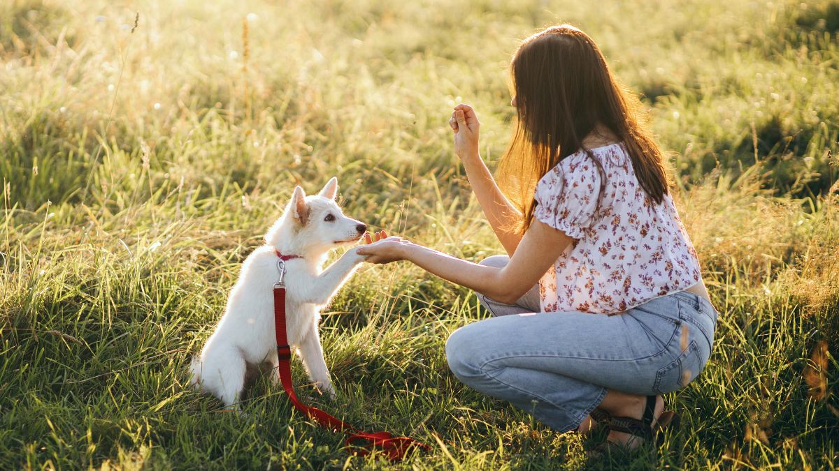 The Ultimate Guide to Puppy Training & Socialization - Tails & Coffee